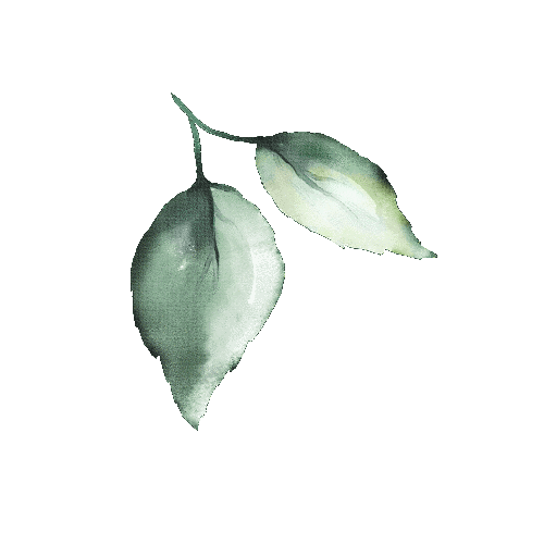 Portfolio Website-Am